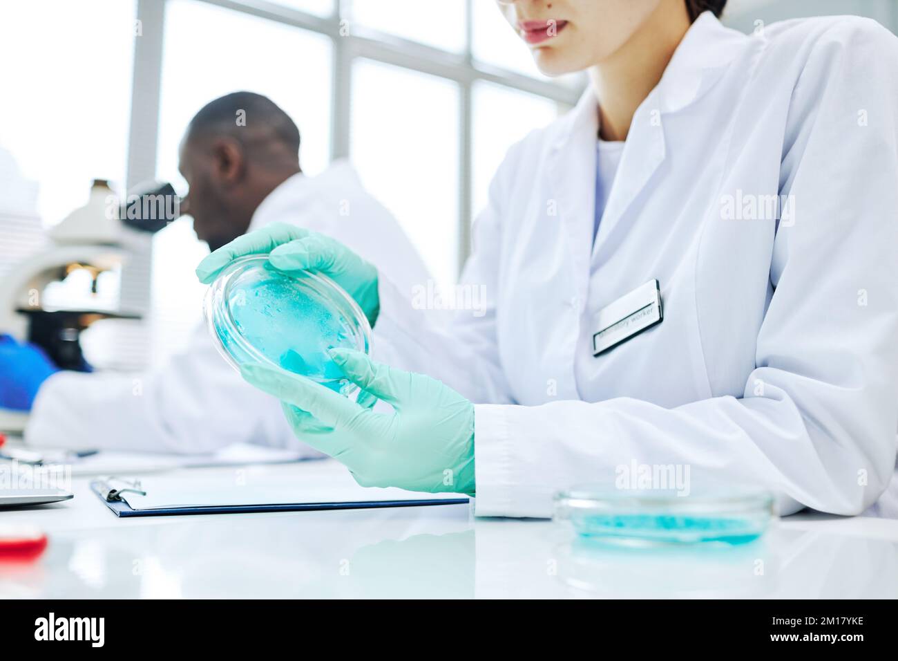 Close up of female scientist holding petri dish while working with ...