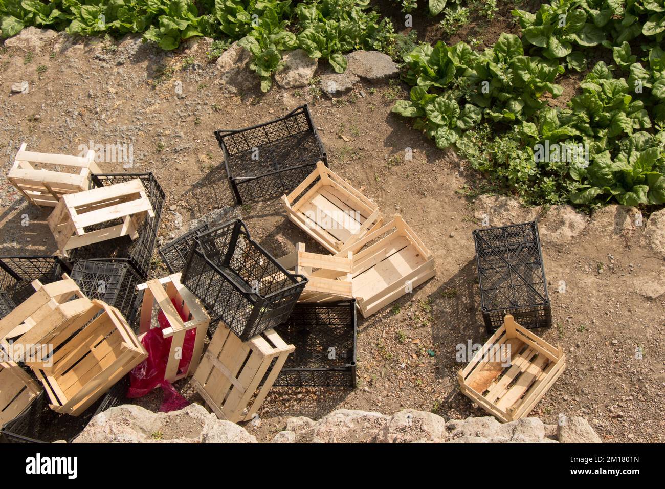 Wooden empty crate box for sale in a market Stock Photo - Alamy