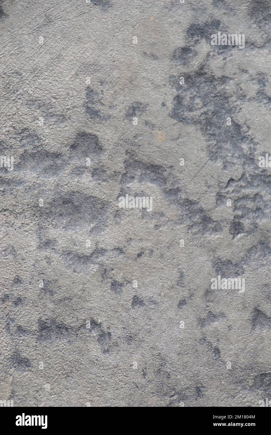 Background with a certain texture pattern Stock Photo - Alamy