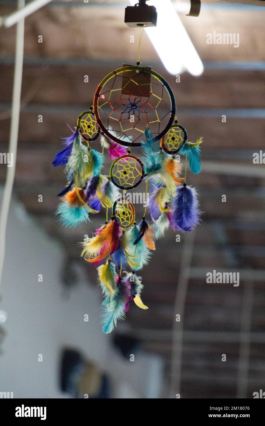 Collection of colorful bird feather for decoration Stock Photo - Alamy