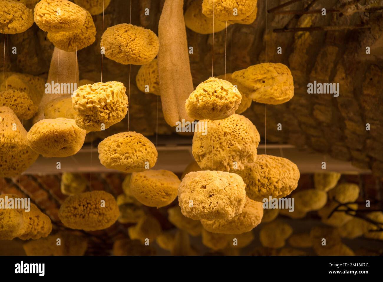 Collection of sea sponges hanging on a market stall Stock Photo - Alamy