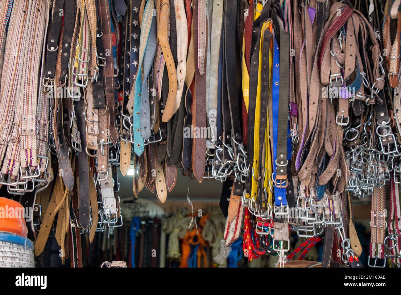 Belts with buckles as element of clothing design Stock Photo - Alamy