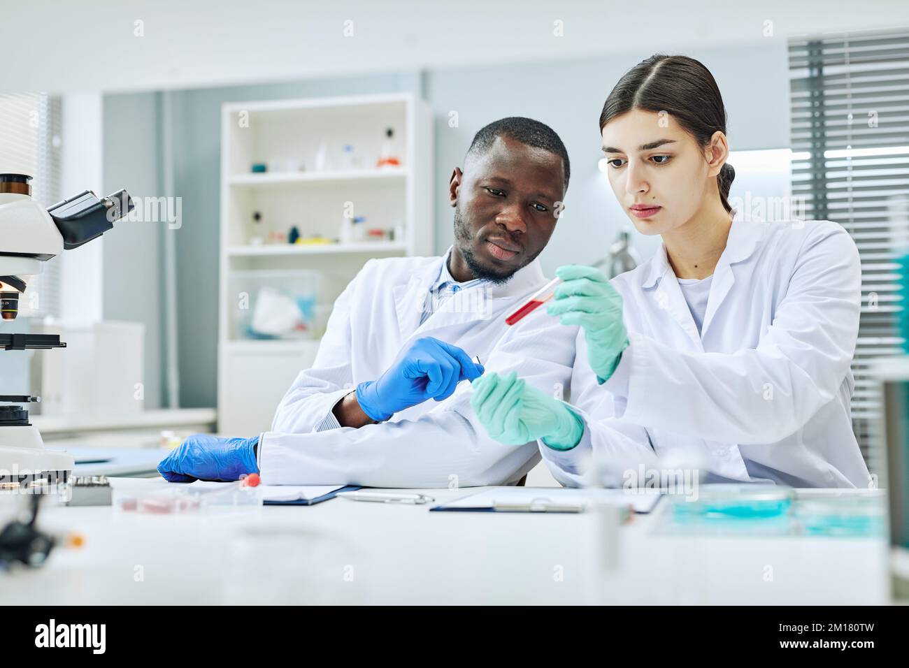 Portrait of two young technicians working with medical samples in ...