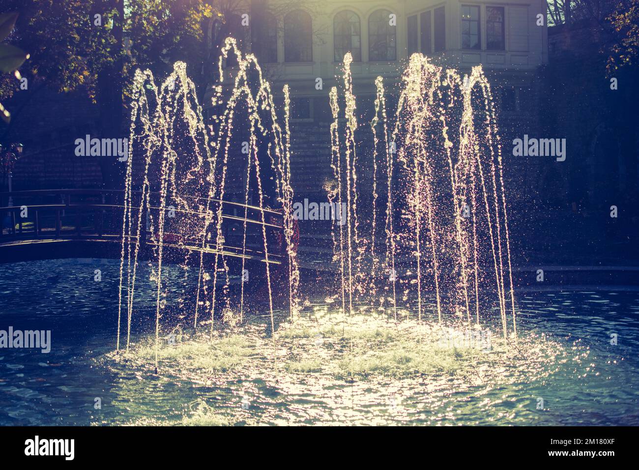 The fountains gushing sparkling water in a pool in a park Stock Photo ...