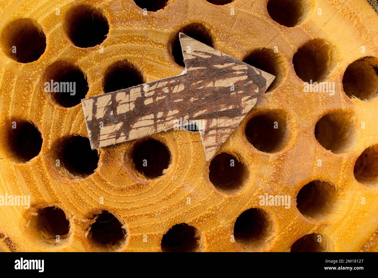 Paper log hi-res stock photography and images - Alamy