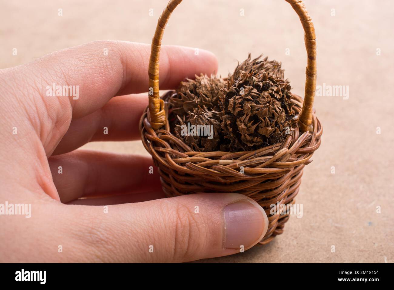 Hold hand holding basket hi-res stock photography and images - Alamy