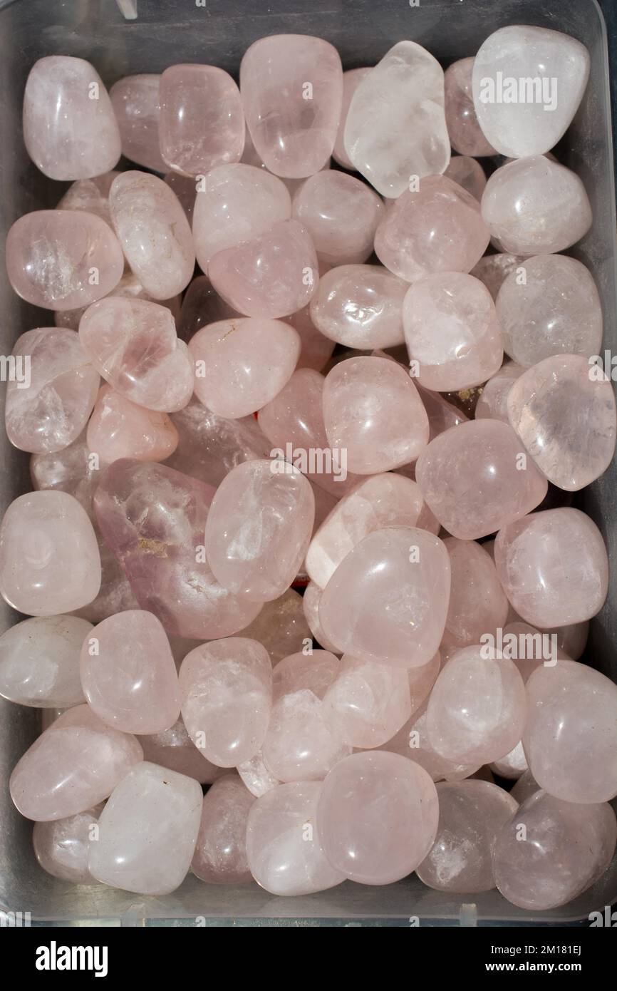Tumbled Rose Quartz gem stone as mineral rock specimen Stock Photo - Alamy