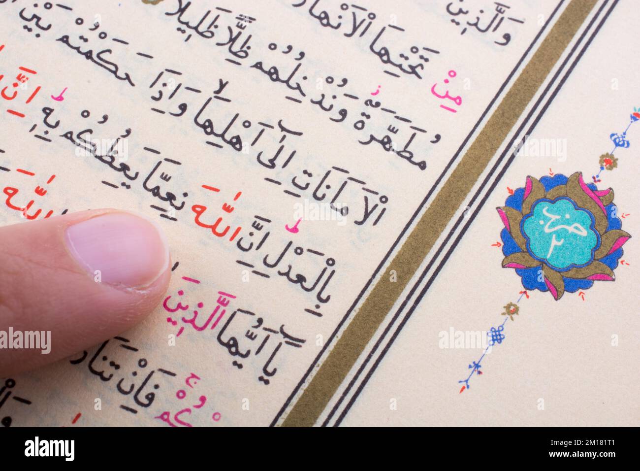 Hand holding The Holy Quran on a white background Stock Photo - Alamy