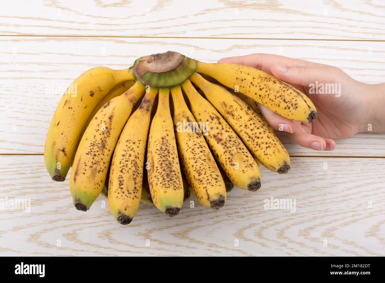 Hand holding bananas hi-res stock photography and images - Alamy