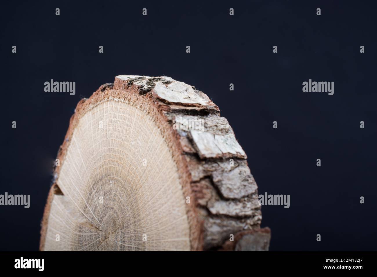 Piece of cut wood log texture as background Stock Photo - Alamy