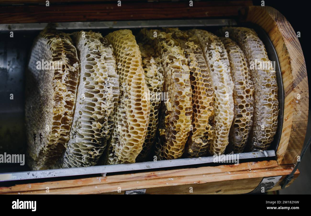 Honeycomb from round beehive with sweet honey Stock Photo - Alamy
