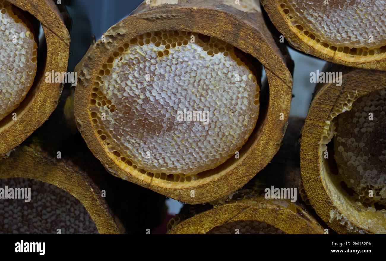 Honeycomb from round beehive with sweet honey Stock Photo - Alamy