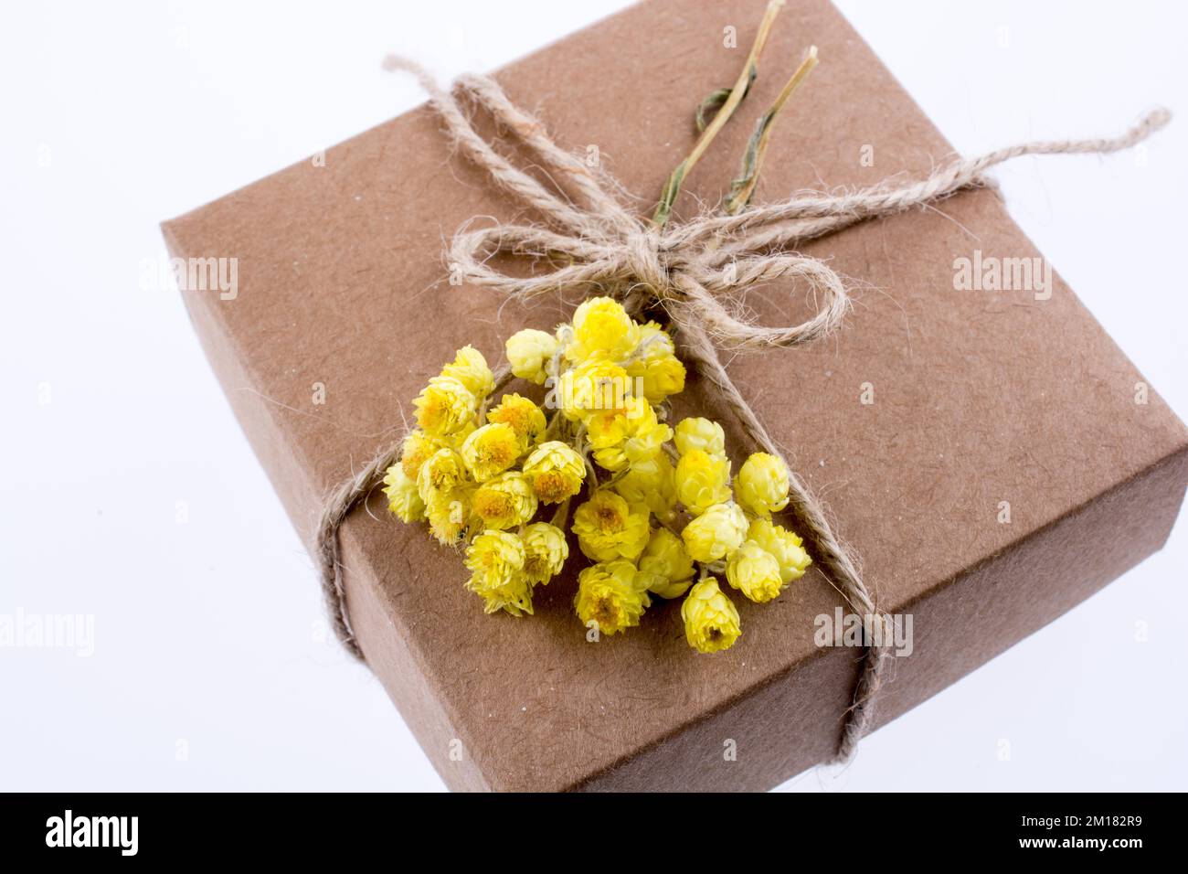 Wrapped gift box with yellow flower on white background Stock Photo - Alamy