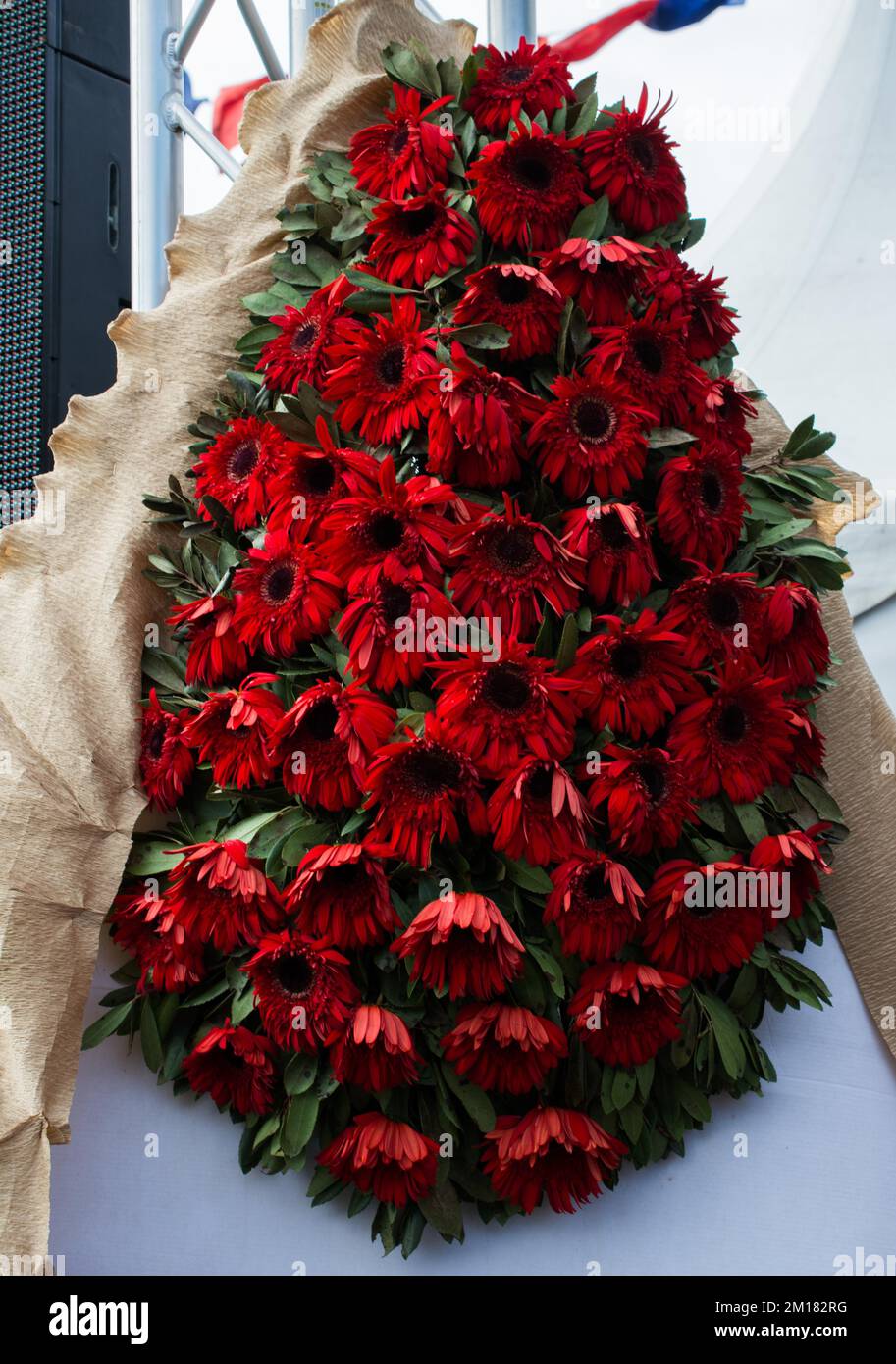 Beautiful colorful natural spring flowers in view Stock Photo - Alamy