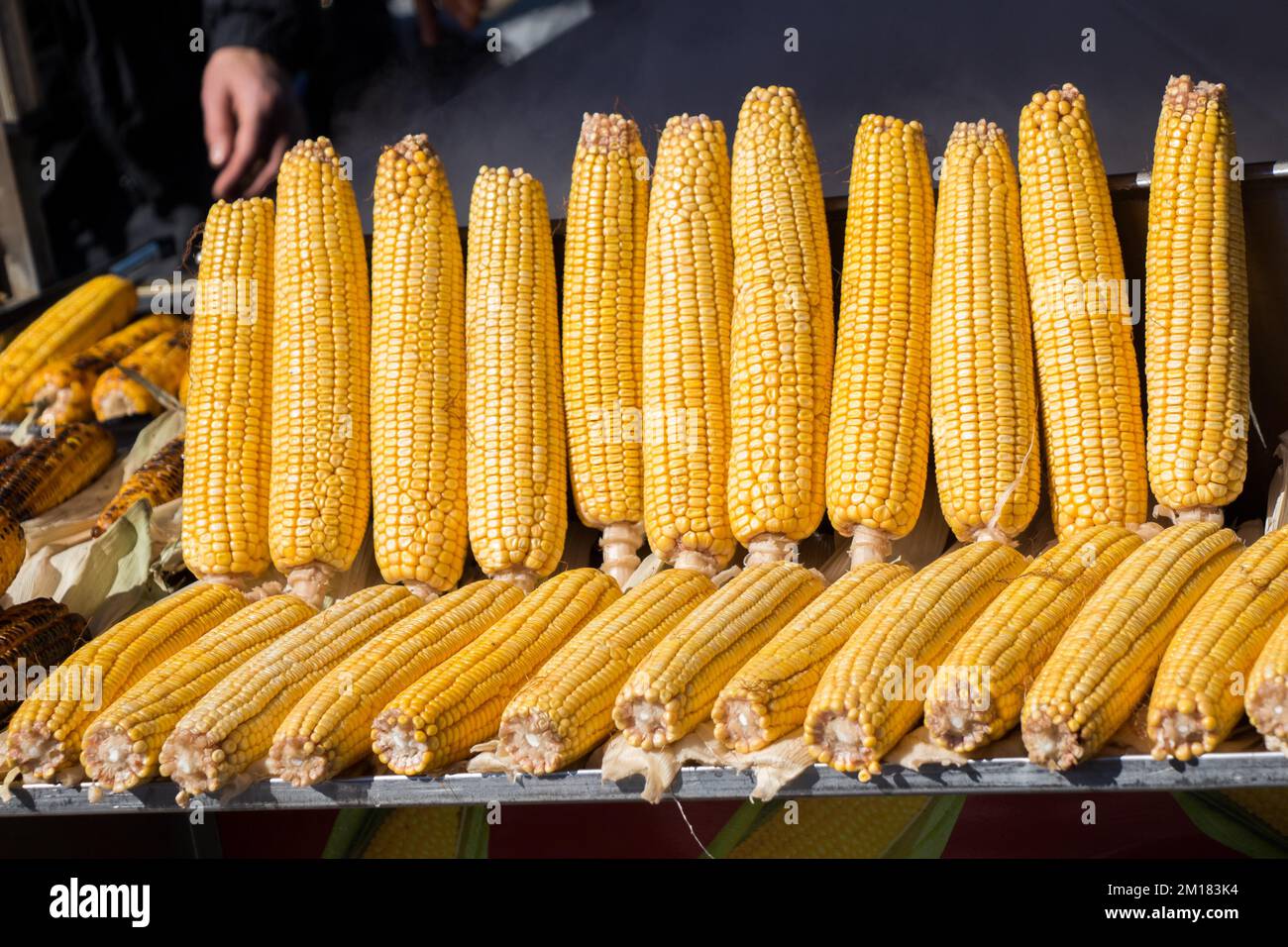 Corn on the cob kernels are peeled Stock Photo - Alamy