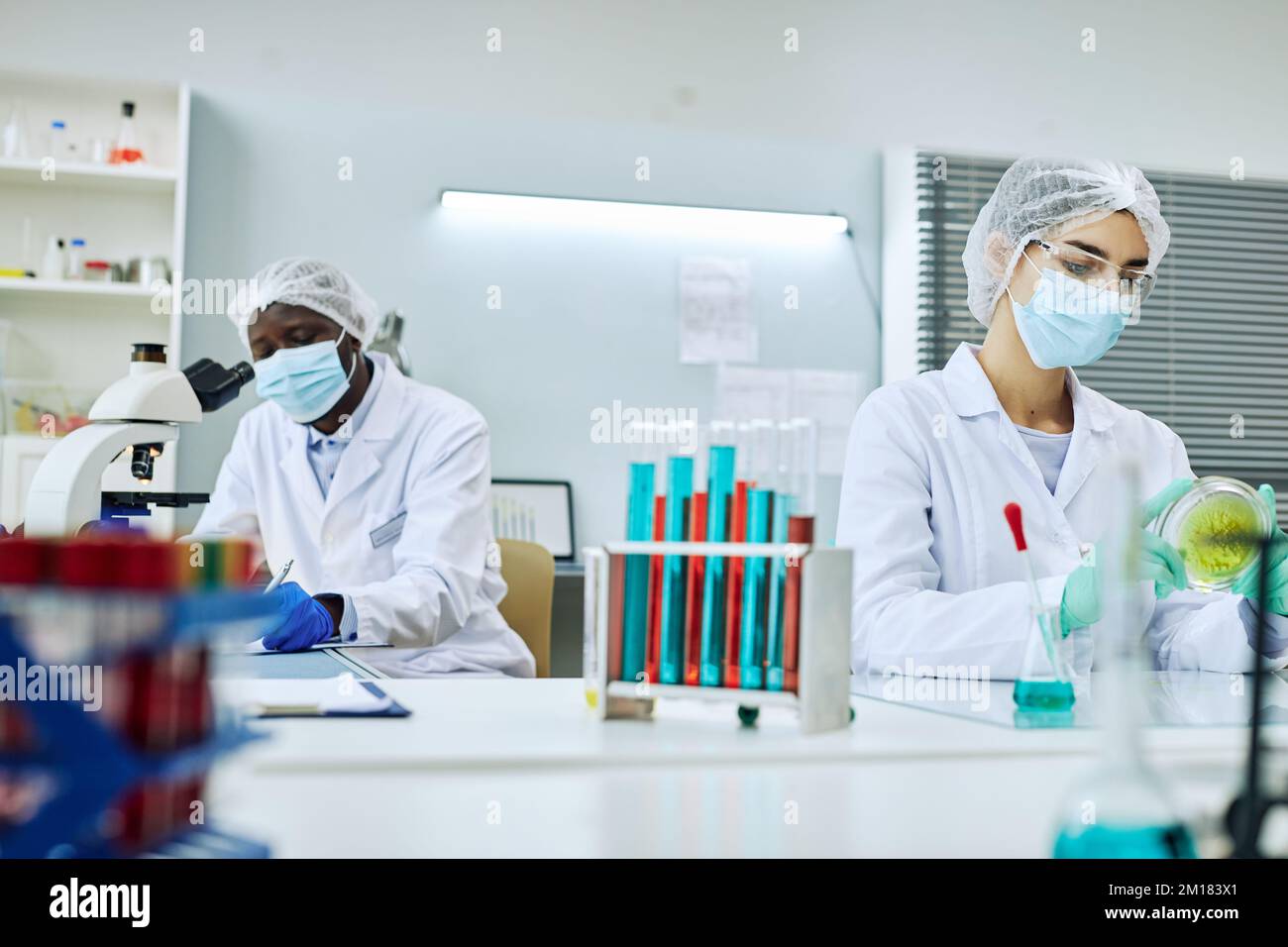 Medical laboratory with two workers and colored test tubes Stock Photo ...