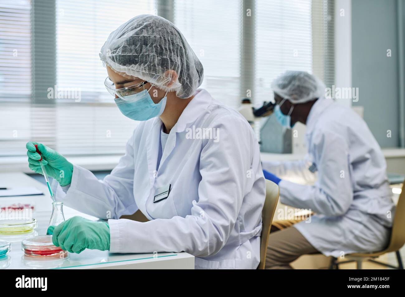 Side view portrait of female scientist doing experiments in medical ...