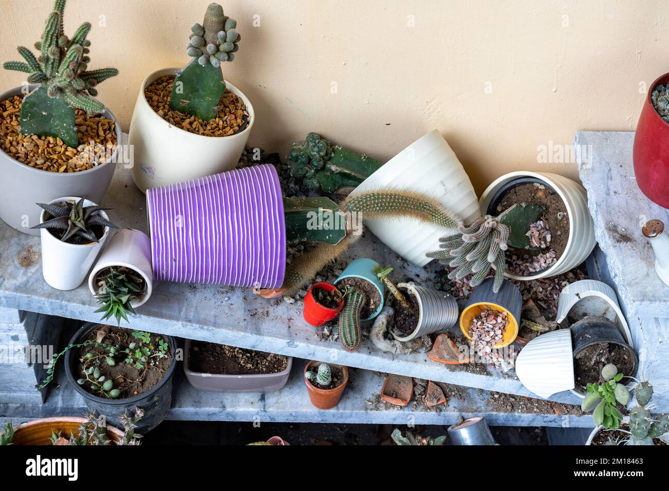 Smashed flower pots hi-res stock photography and images - Alamy