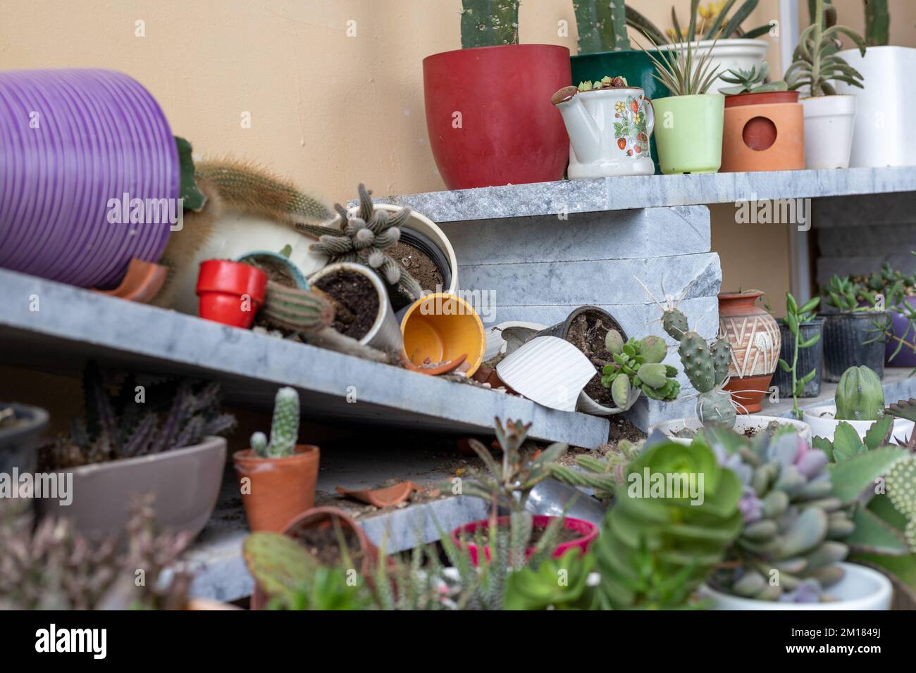 Smashed flower pots hi-res stock photography and images - Alamy