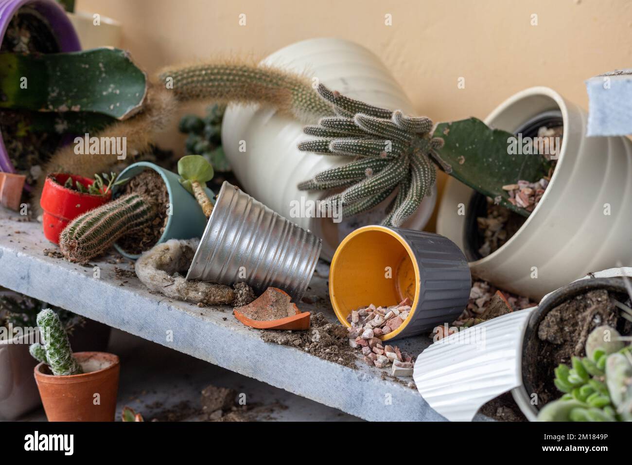 Broken shelf hi-res stock photography and images - Alamy