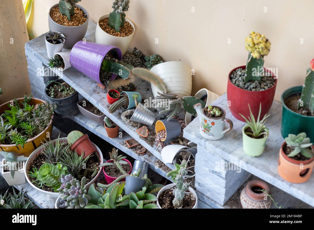 Fragile situation hi-res stock photography and images - Alamy
