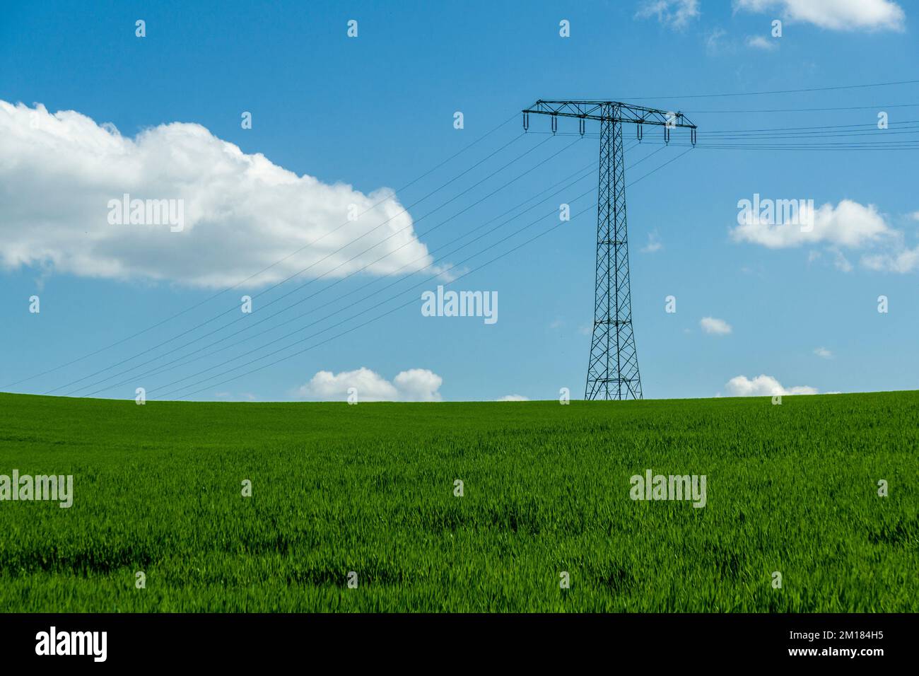 Agricultural landscape with overhead powerlines, green fields and ...