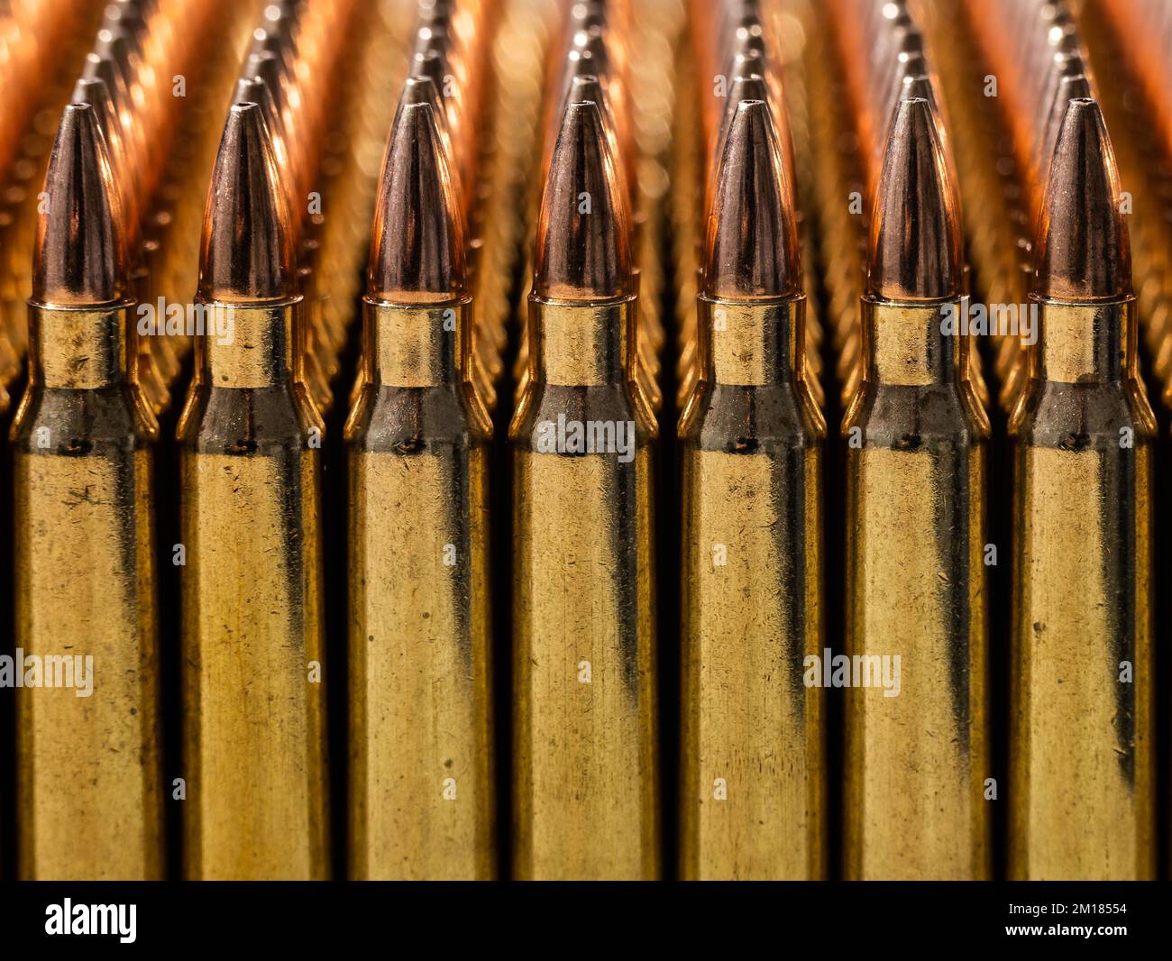 Rottweil, Germany. 10th Dec, 2022. 223 caliber Remington cartridges ...