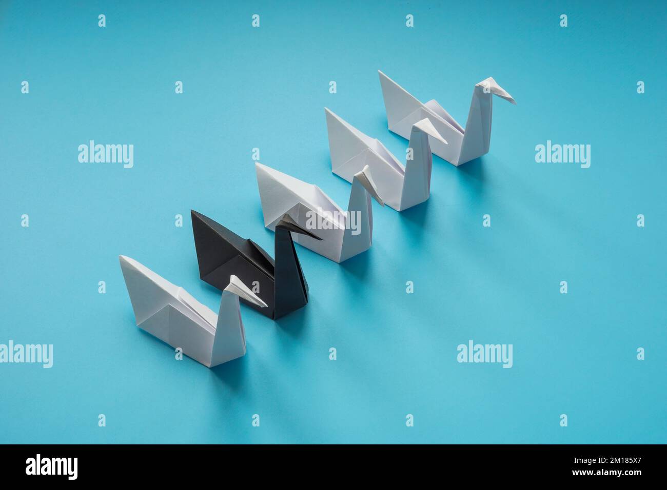 Paper swans, whites and different one as concept of black swan theory ...