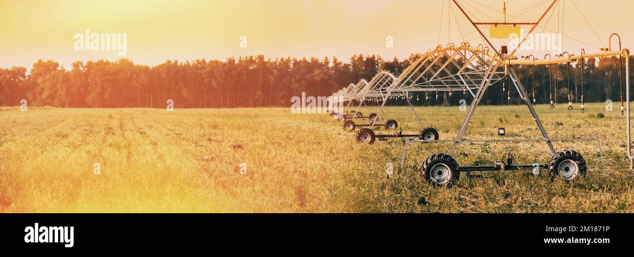 Irrigation Machine At Agricultural Field With Young Sprouts, Green ...