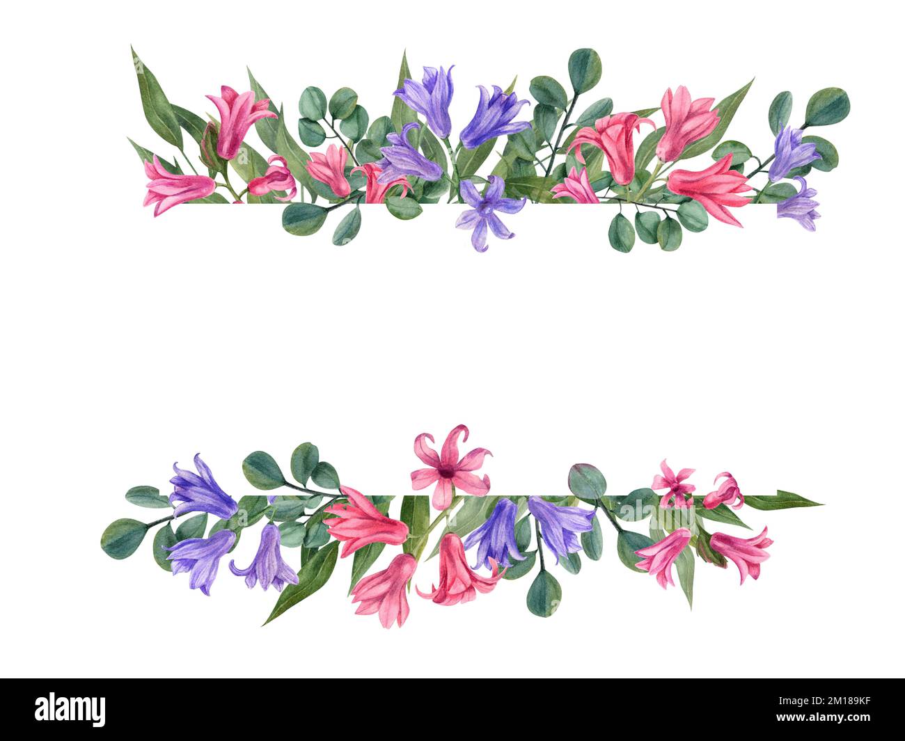 Horizontal frame with watercolor hyacinths, eucalyptus isolated on ...