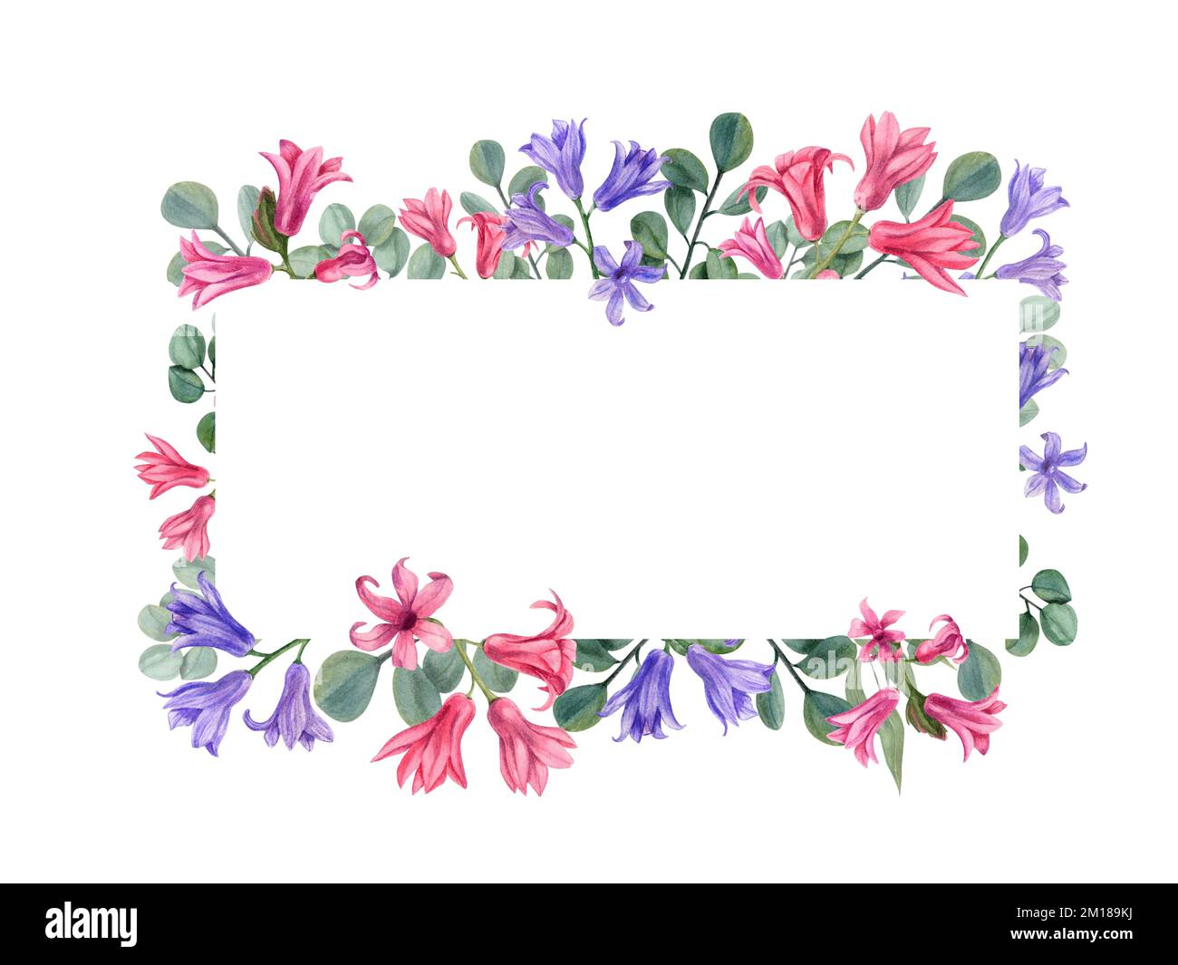 Horizontal frame with watercolor hyacinths, eucalyptus isolated on ...