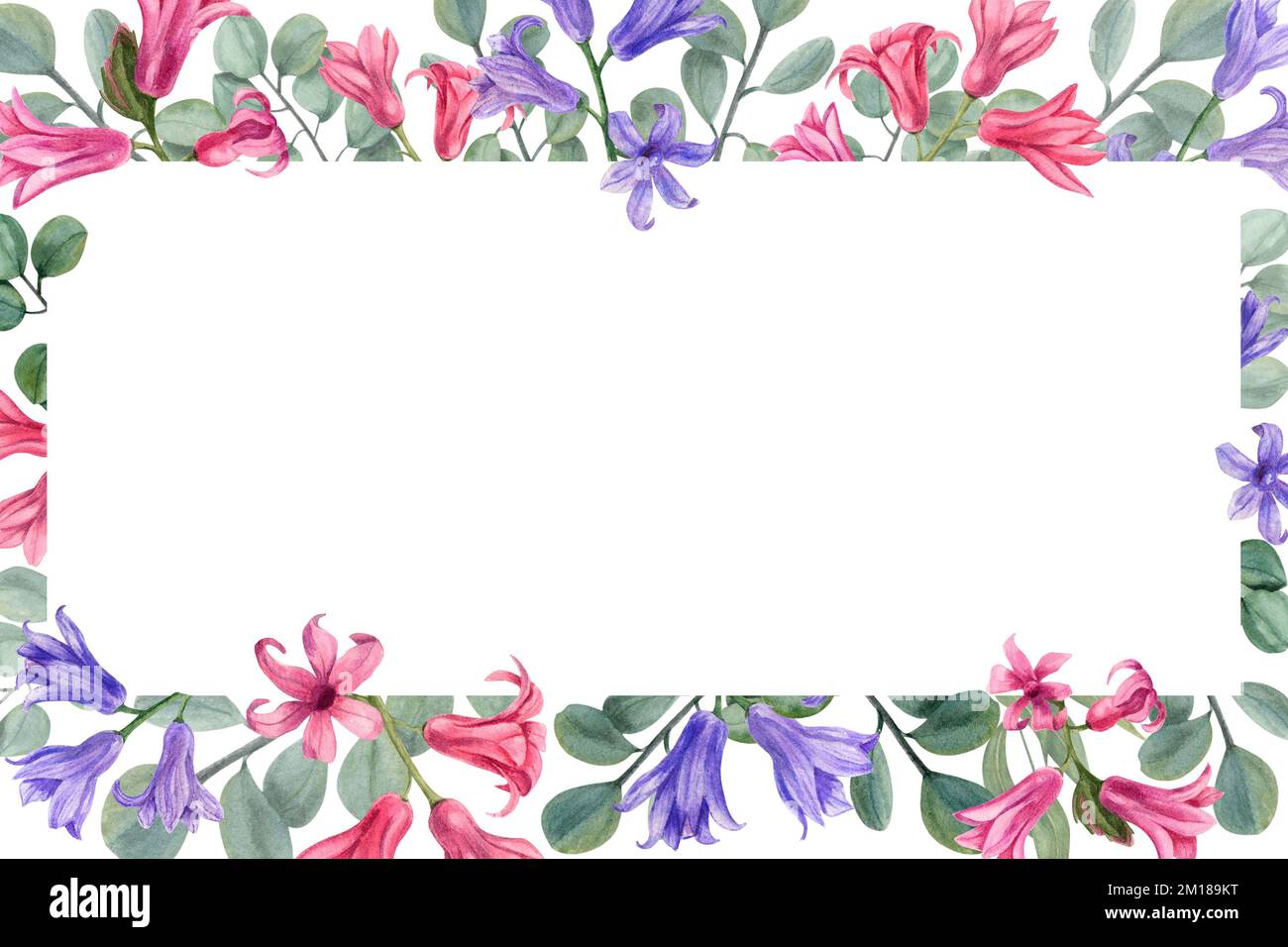 Horizontal frame with watercolor hyacinths, eucalyptus isolated on ...