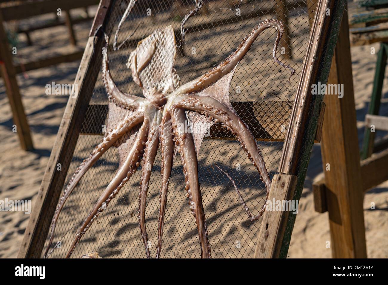 Octopus drying on sun in Nazare, Portugal Stock Photo - Alamy