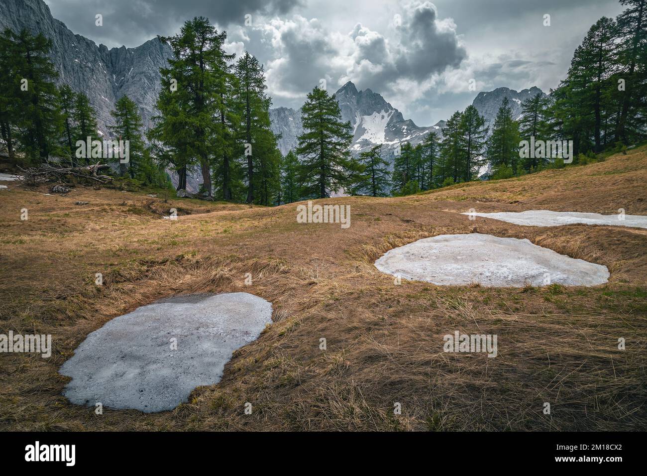 Well known alpine place with green larch forest and beautiful snowy ...