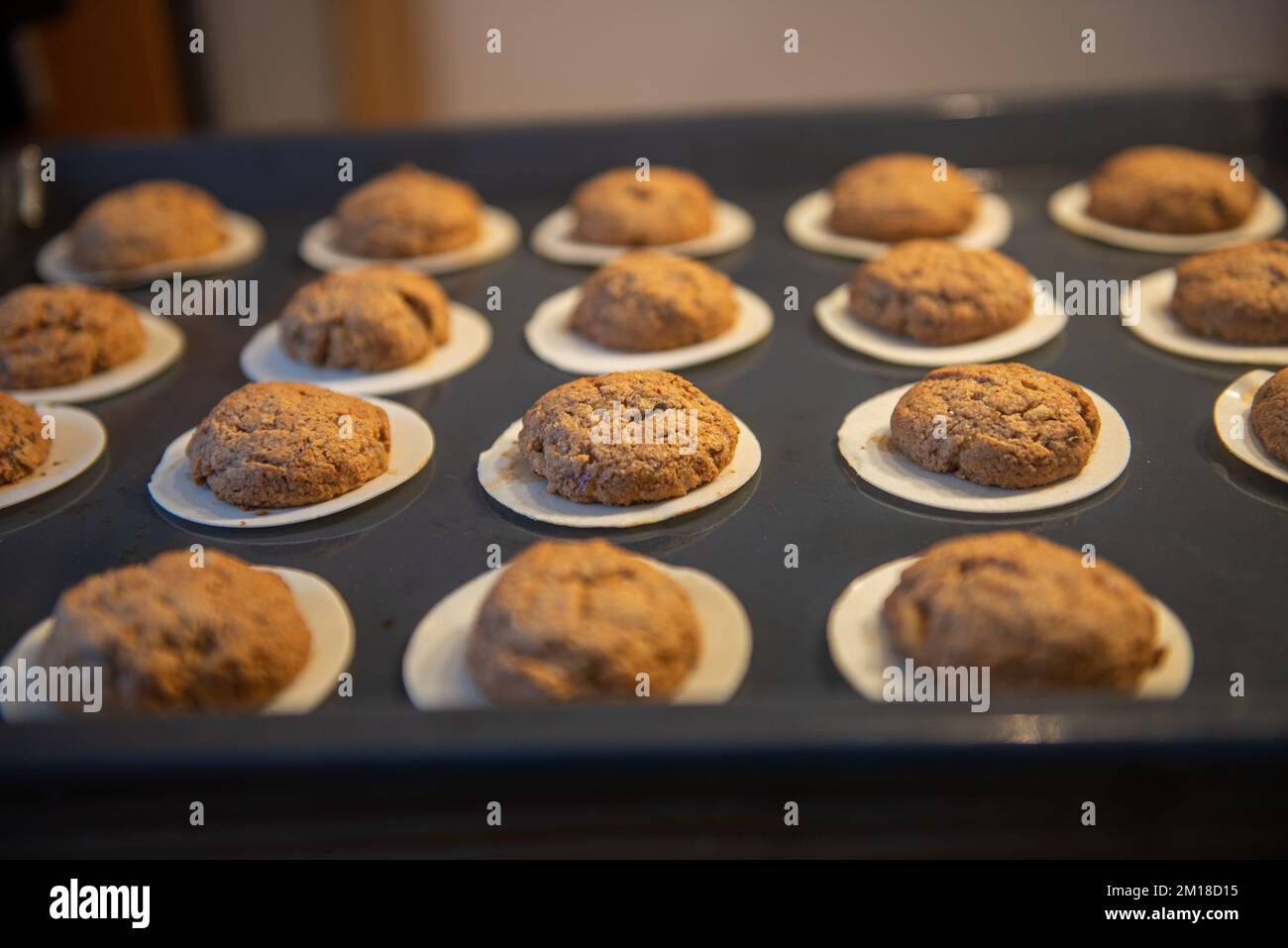 Freshly baked gingerbread cookies on an oven tray Stock Photo - Alamy