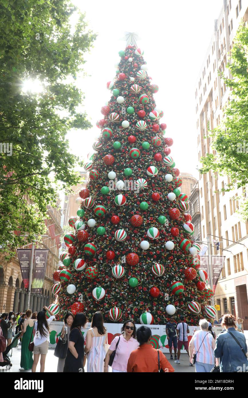 Tallest christmas tree hi-res stock photography and images - Alamy