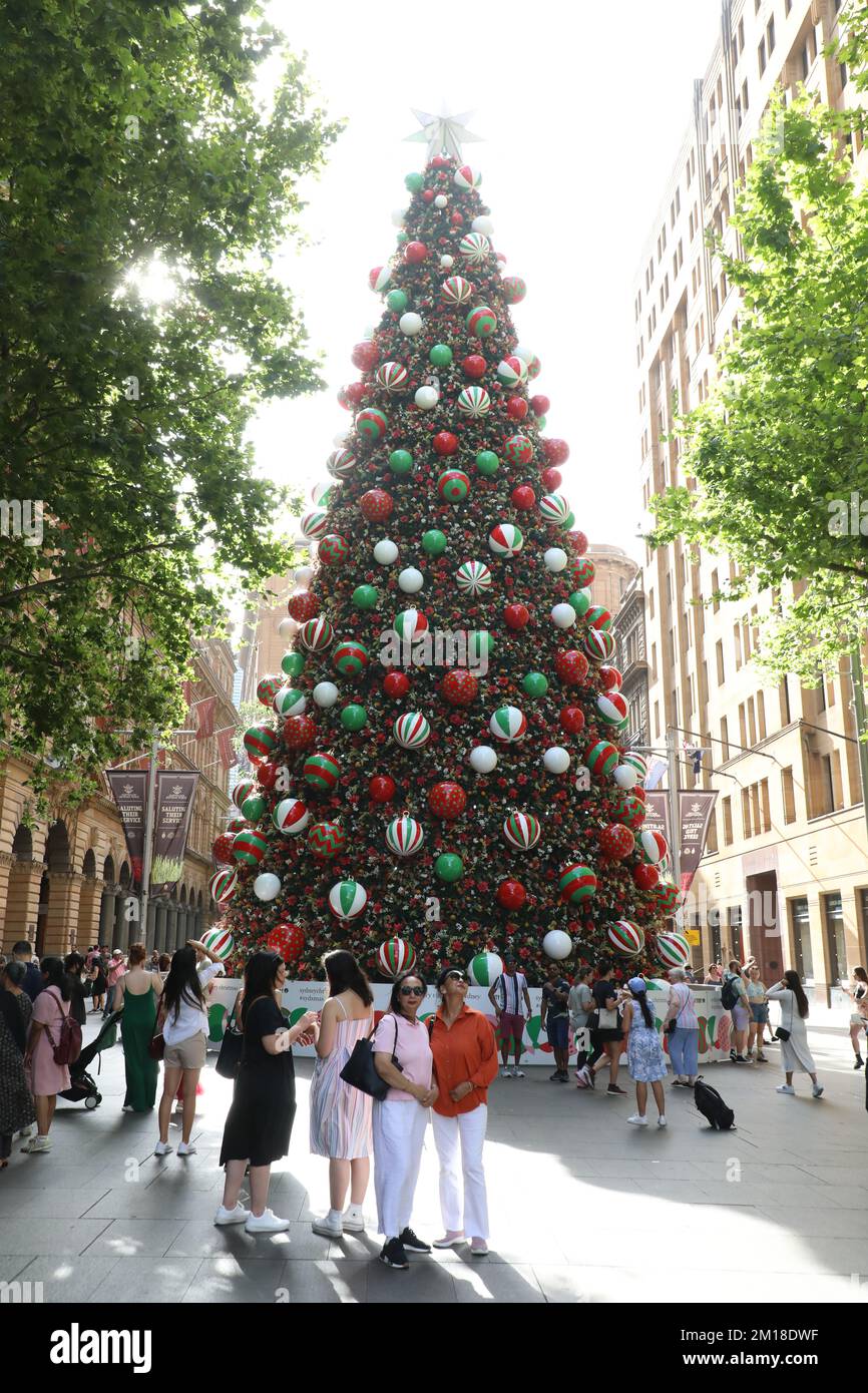 Sydney, Australia. 11th December 2022. The tallest Christmas tree in ...