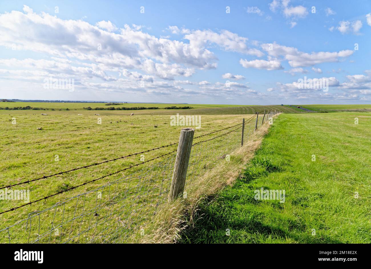 English landscape near the South Downs at Beachy Head near Eastbourne ...