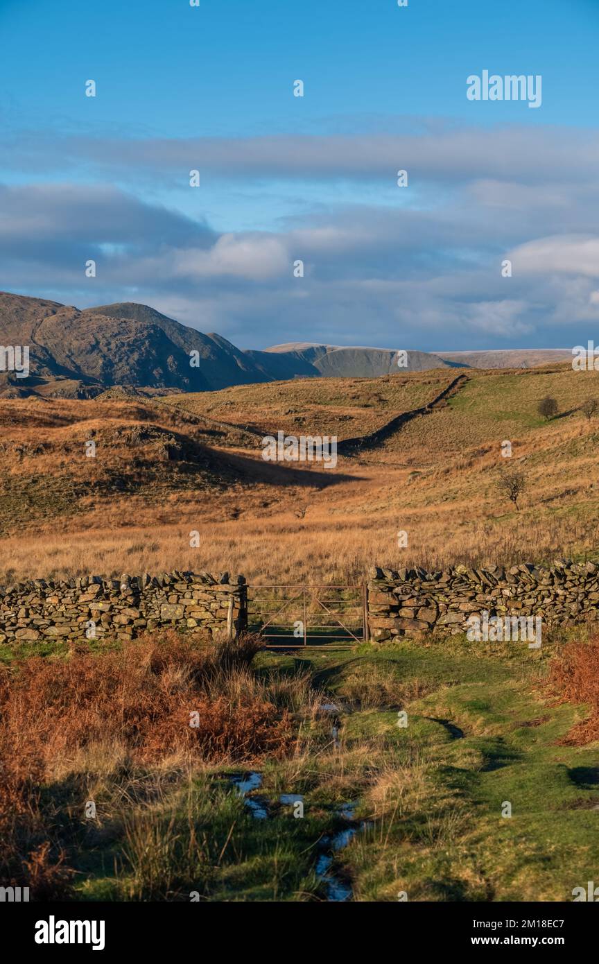 Track to Kentmere Village across Green Quarter Fell in Cumbria Stock ...