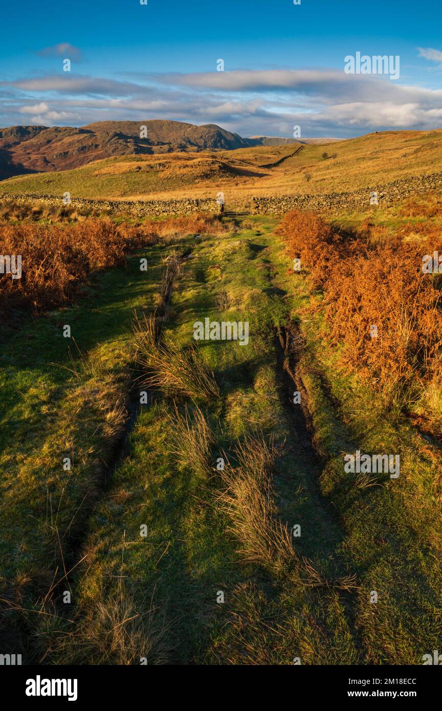 Green quarter fell hi-res stock photography and images - Alamy