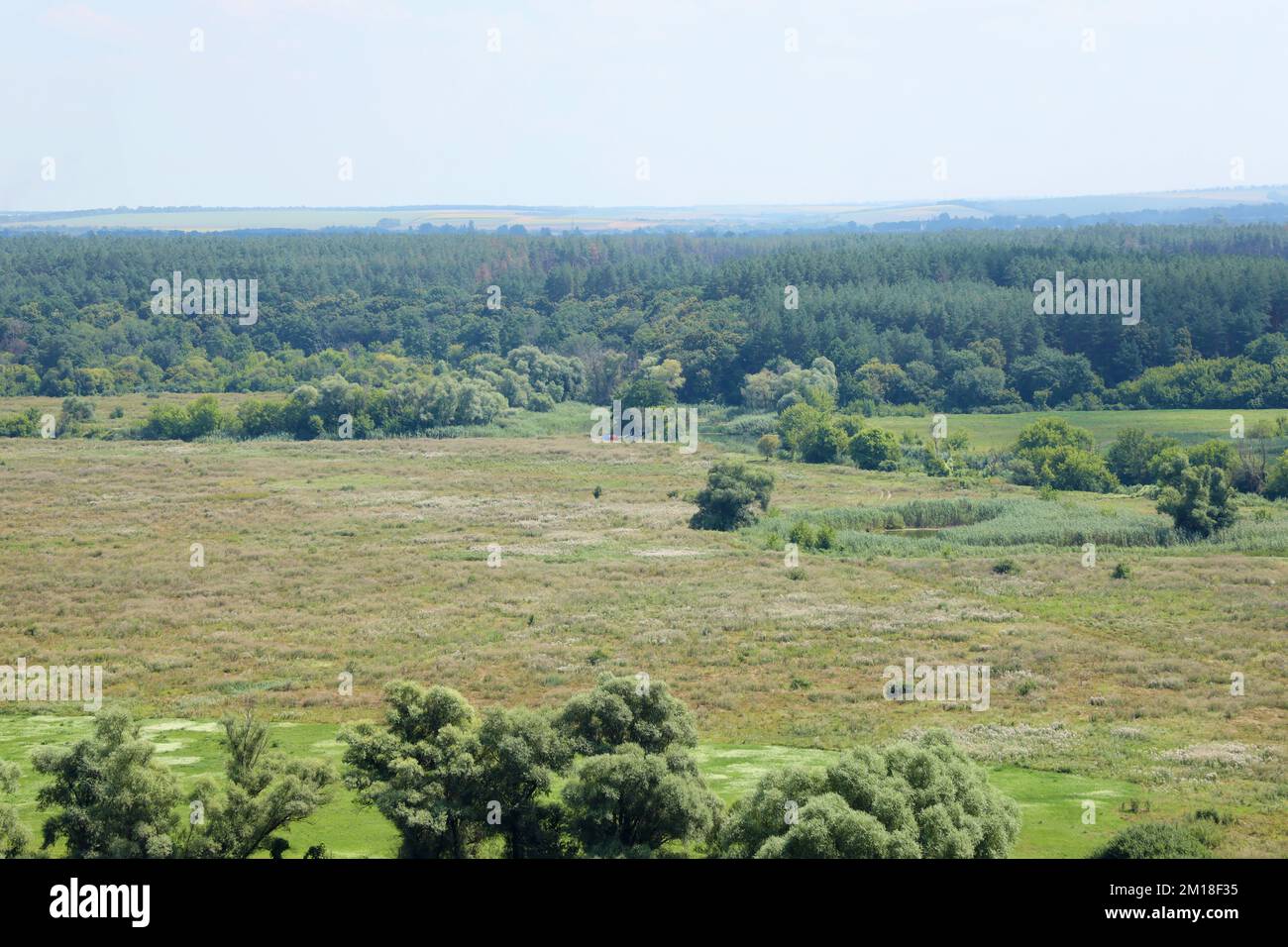 Sunny spring morning on meadow with trees. Scenic rural landscape ...