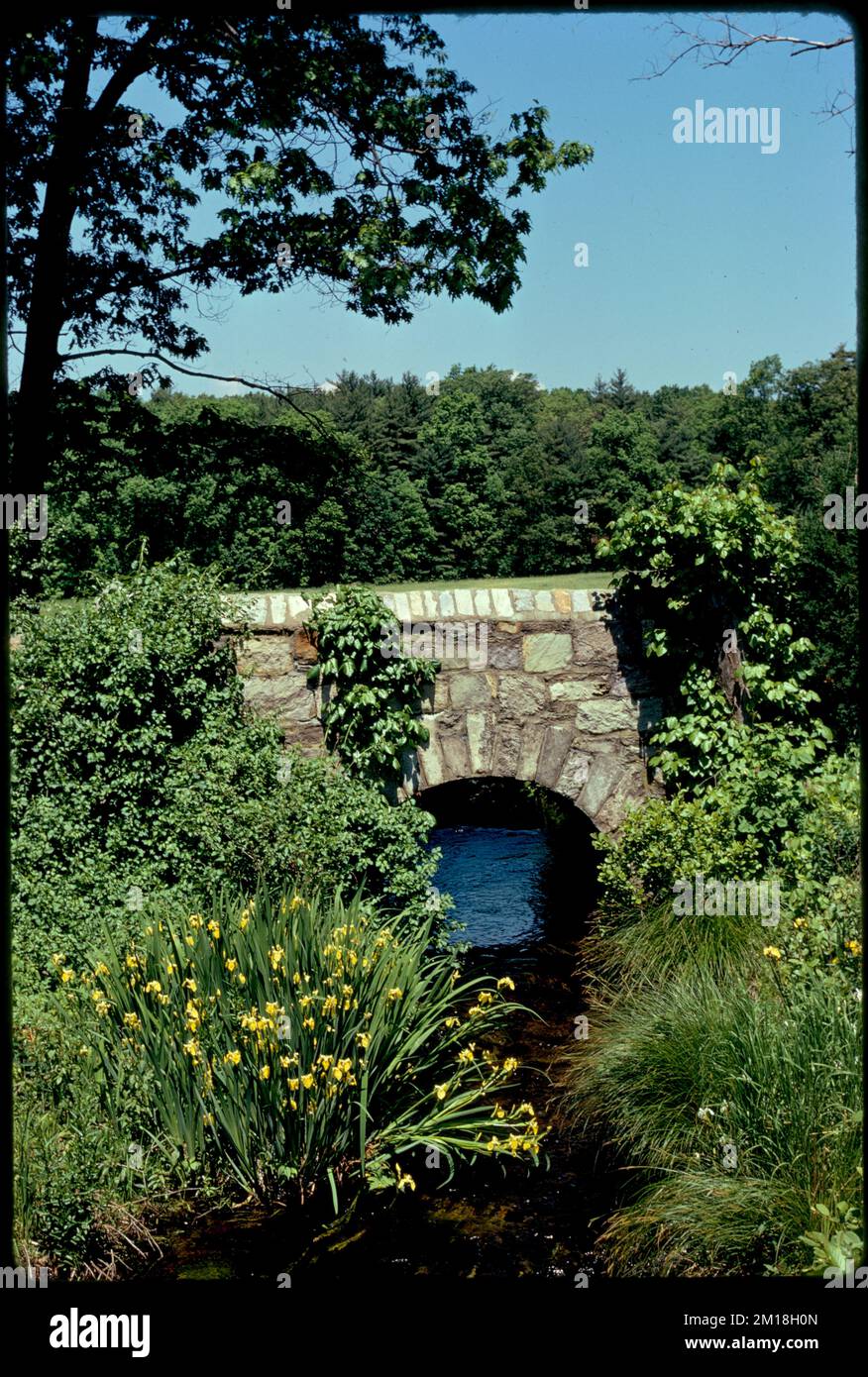 Stream feeder to Charles River at Audubon Soc. Res., Natick off Rt. 16 ...