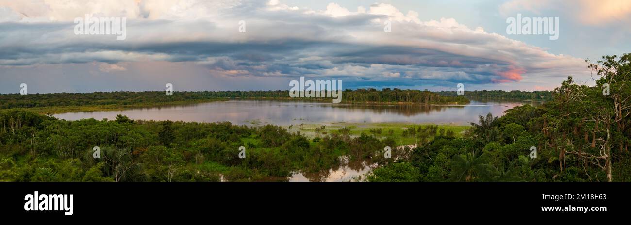 Sunset at the Javari River, the tributary of the Amazon River, Amazonia ...