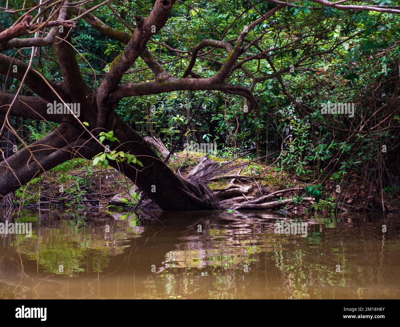 Yavari peru hi-res stock photography and images - Alamy