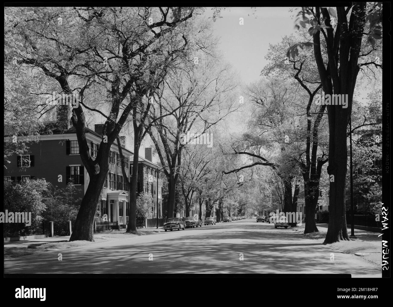 Street scene , Architecture, Dwellings, Streets, Trees. Samuel ...