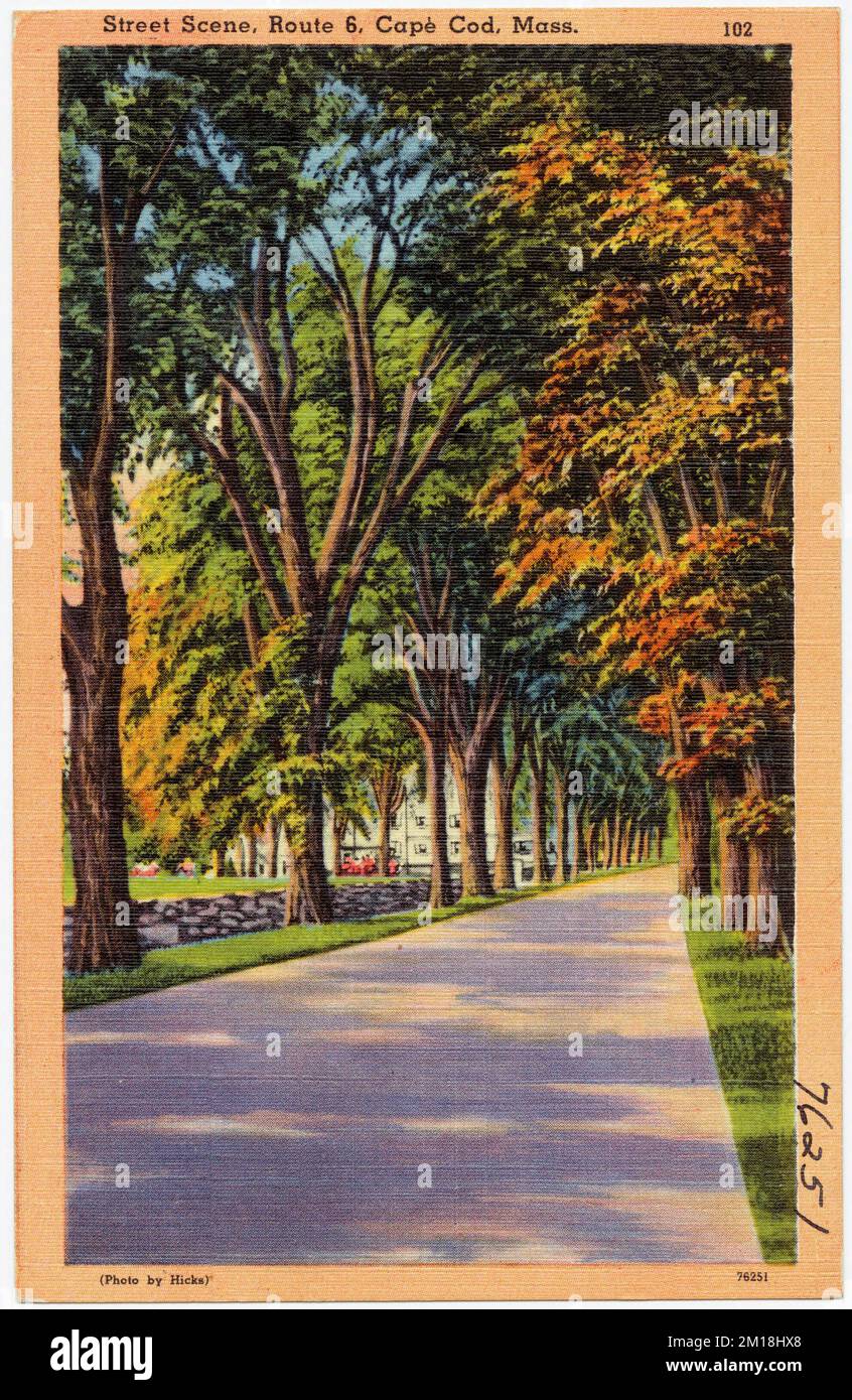 Street scene, Route 6, Cape Cod, Mass. , Roads, Tichnor Brothers ...