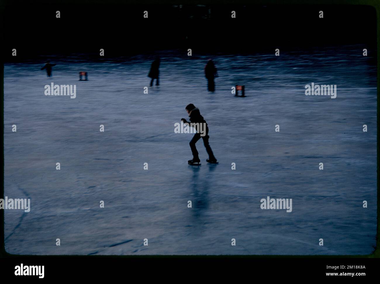 Suburban ice skating at sunset (Newtonville) , Lakes & ponds, Skaters ...