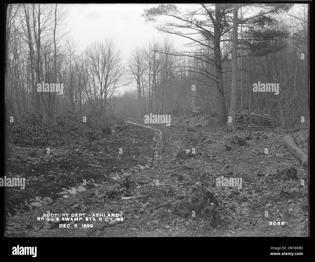 Sudbury Department, Brigg's Swamp, drainage ditch, station 8, C Line ...
