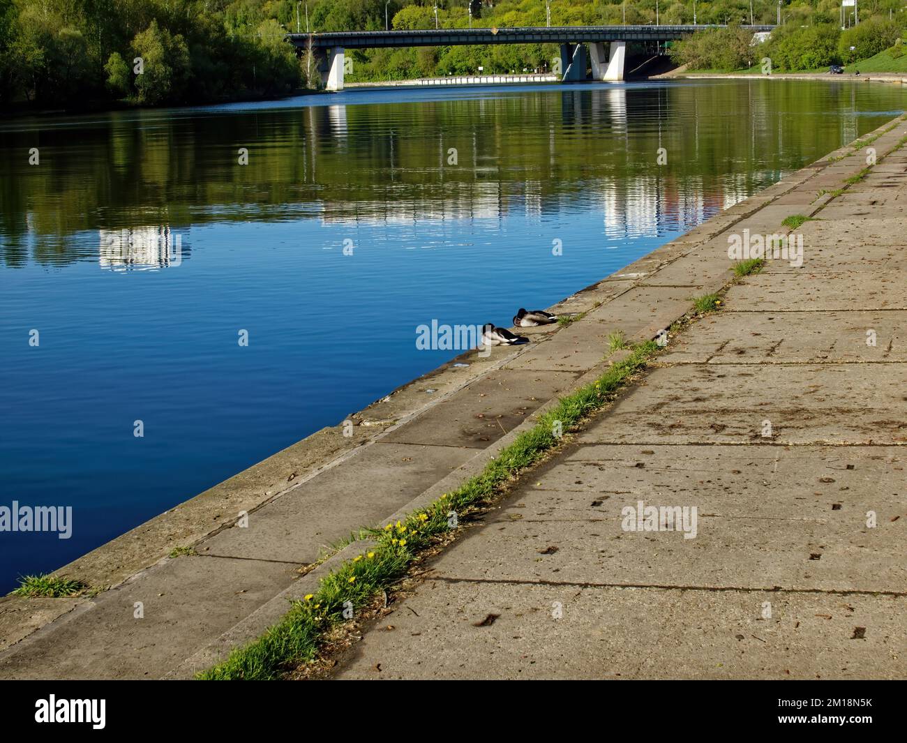 river embankment made of concrete slabs on a clear day, in summer Stock ...