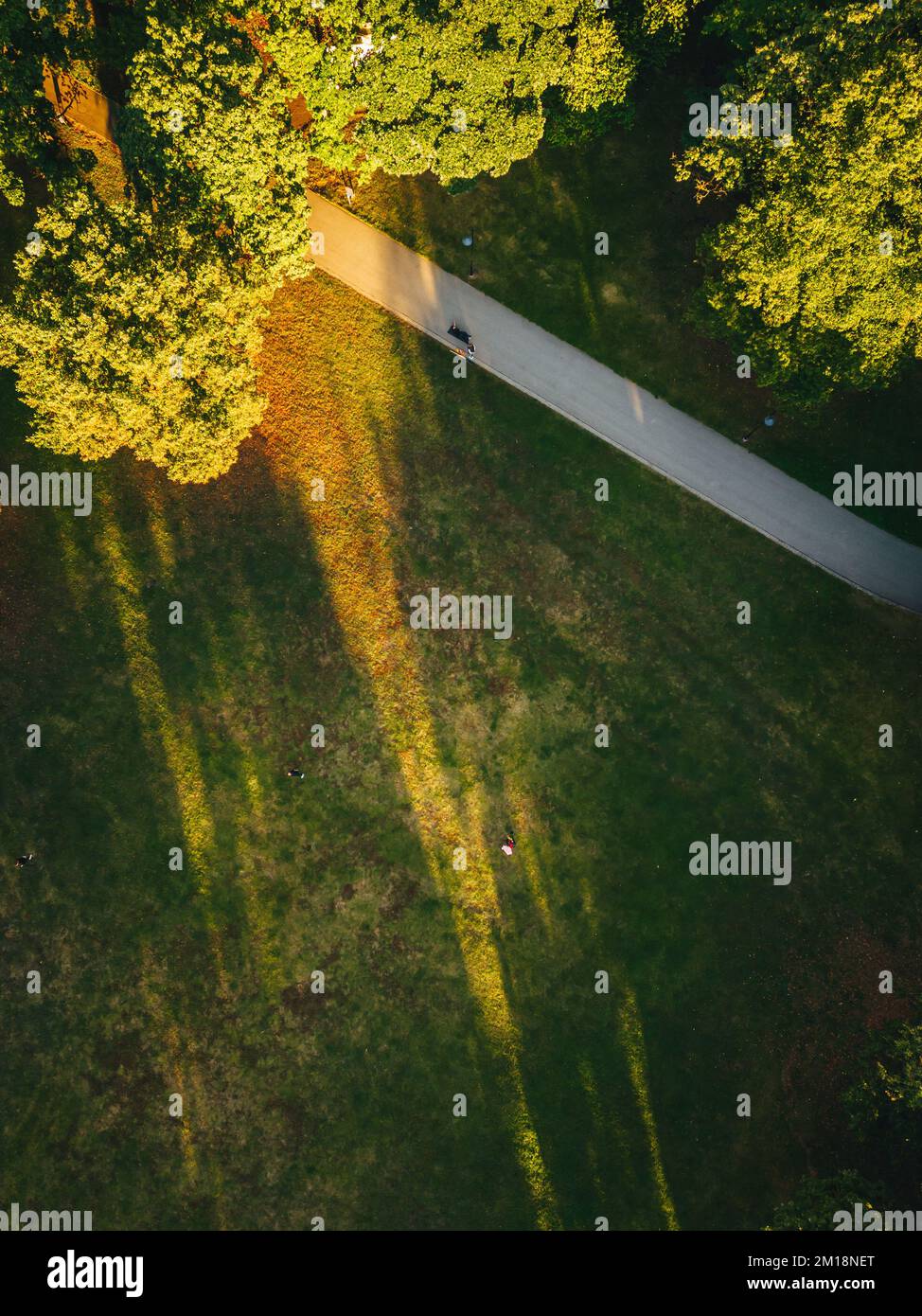 A pedestrian path in the city park with green plants Stock Photo - Alamy